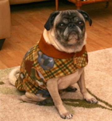 Fleece Collection – Pug Snuggly