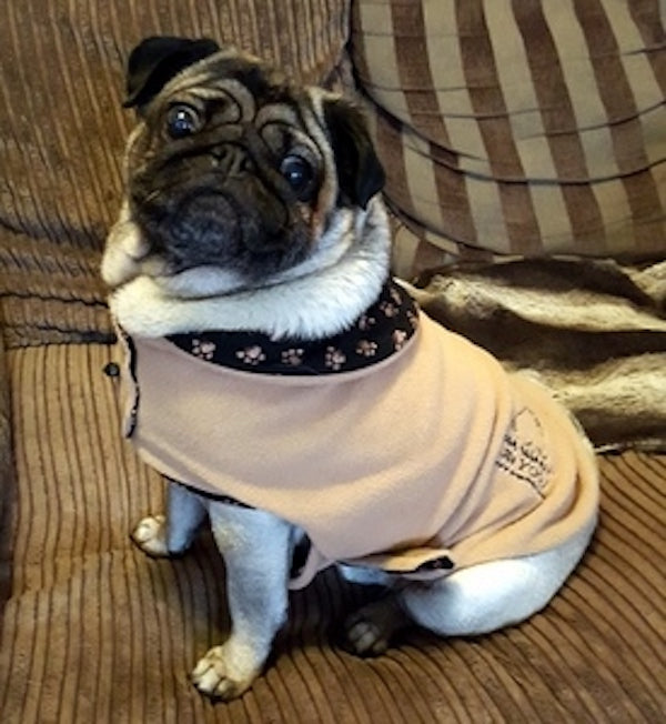 Fleece Collection – Pug Snuggly